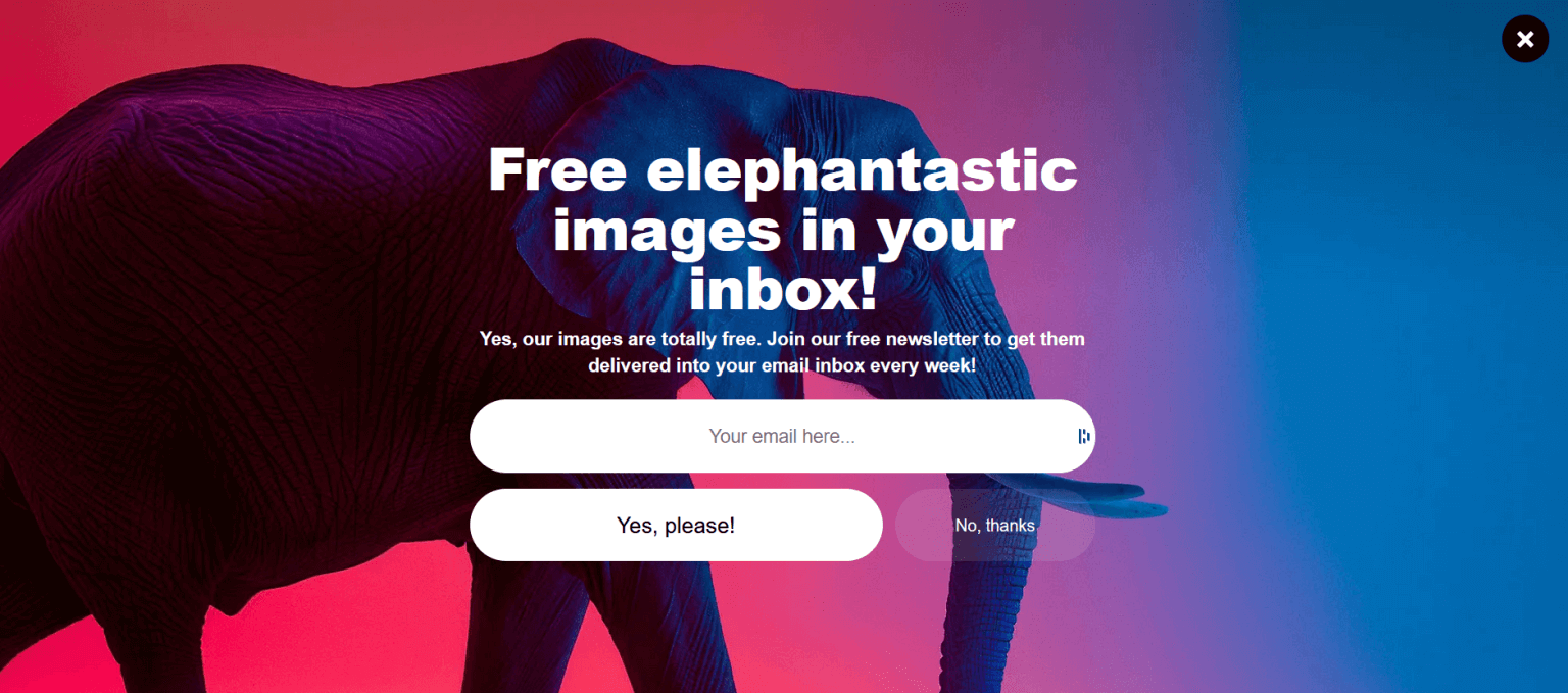 Top 12 des banques d'images gratuites et libres de droits